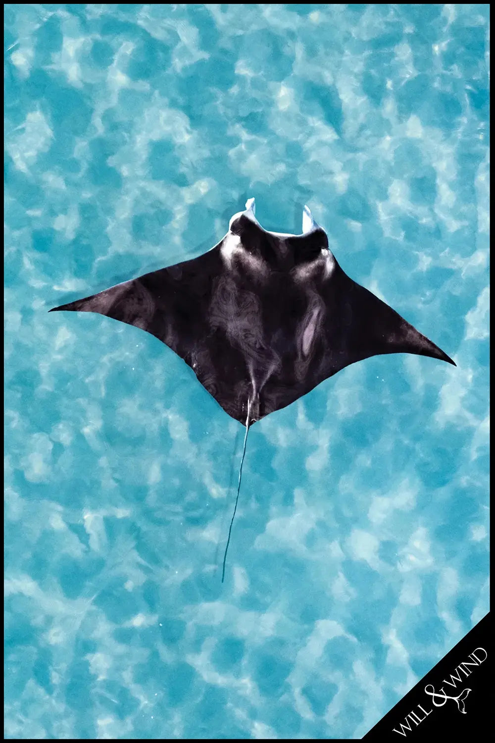 Manta Ray Multi Towel | Will & Wind